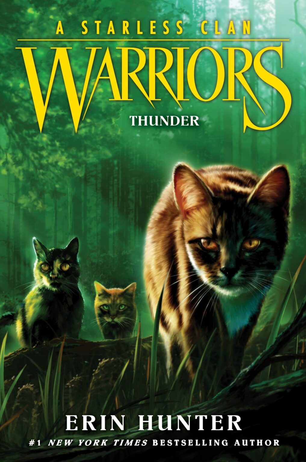 WARRIORS Starless Clan #4 Thunder SC – Impact Comics